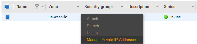 Get Two Public IPs on an Amazon EC2 Instance for Free
